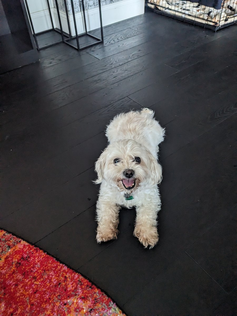 Raley – Animal Haven